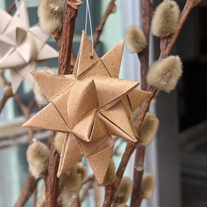 Froebel Star Paper - Etsy