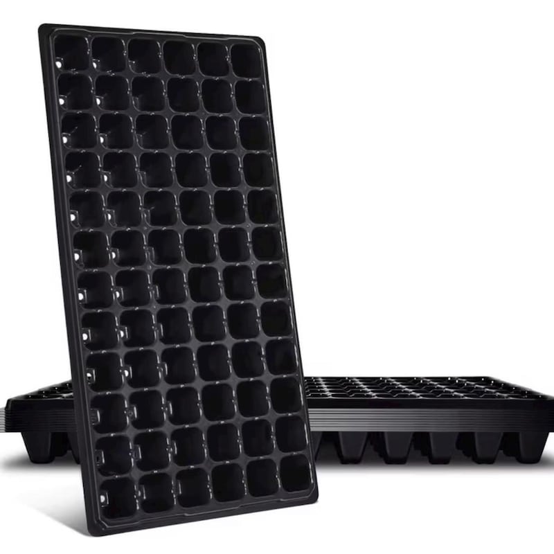 Cell Tray Plant - Etsy