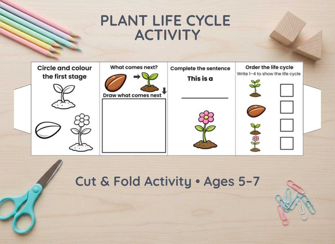 Plant Life Cycle Accordion Activity | Cut and Paste Science Craft ...