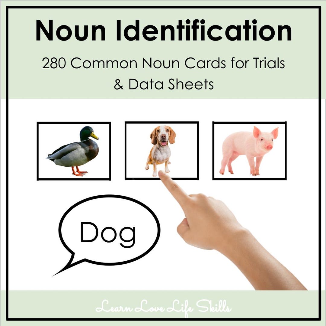Noun Identification for Building Receptive and Expressive Vocabulary - Etsy