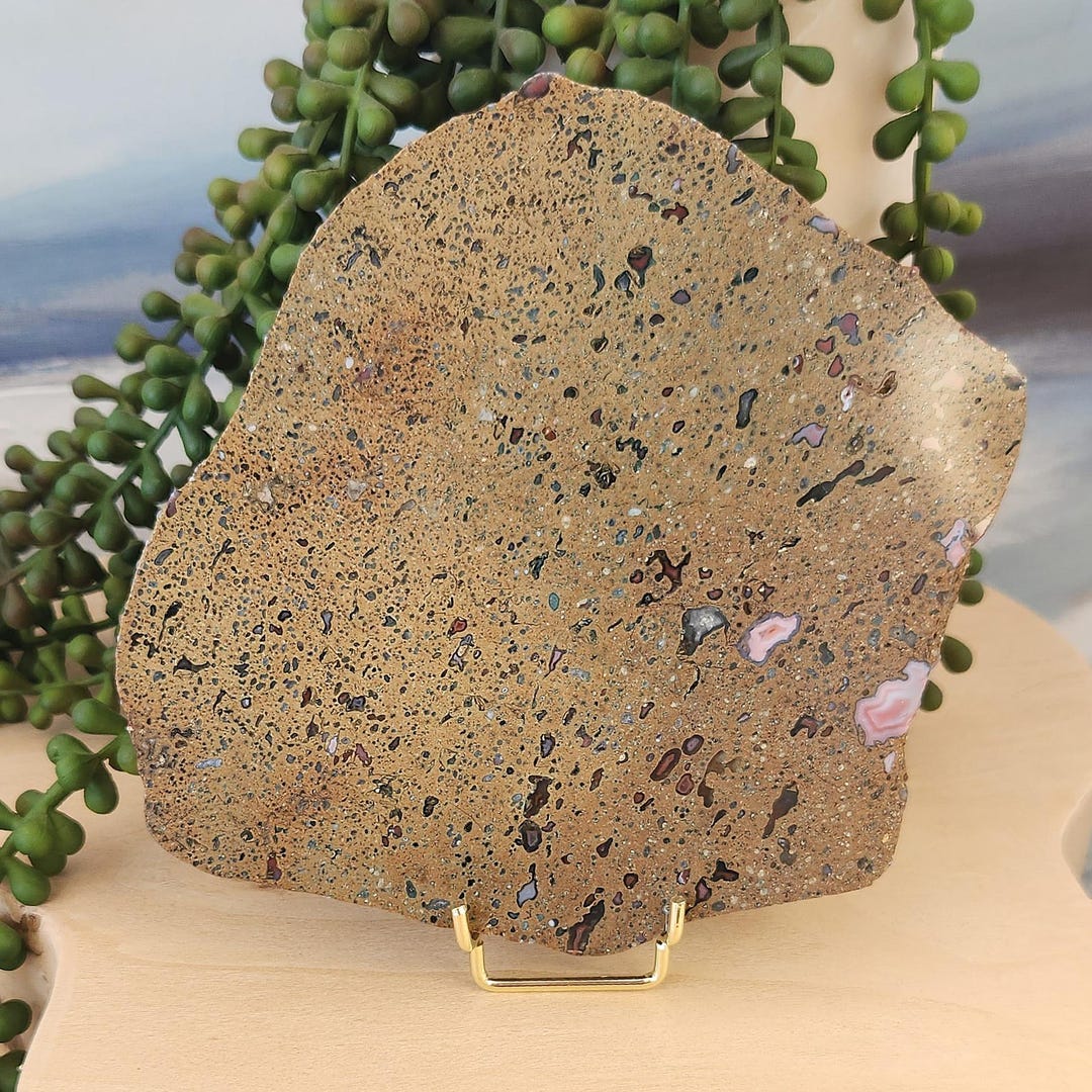 Polished Confetti/galaxy Agate in Basalt Slab | Beautiful Matrix With ...