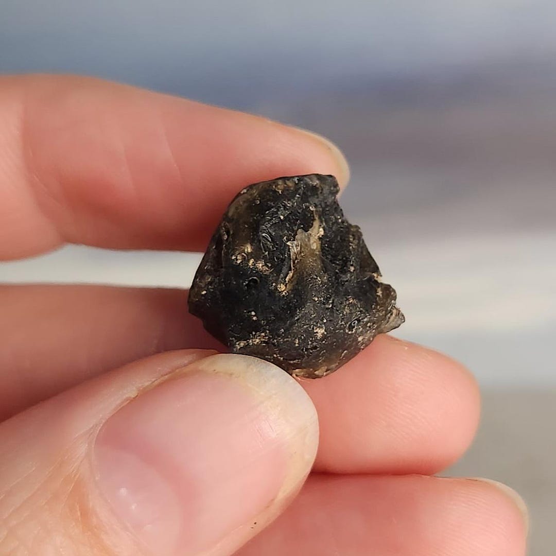 Australian Tektite (darwin Glass) | Natural Meteorite Impact Glass ...