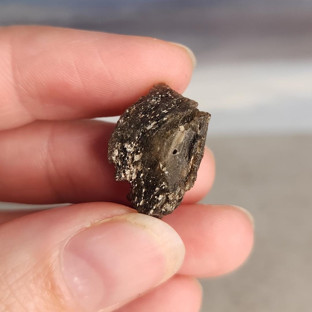 Australian Tektite (darwin Glass) | Natural Meteorite Impact Glass ...