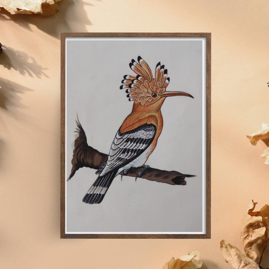 Hand Painted Hoopoe Bird Art, Wildlife Painting, Boho Animal ...
