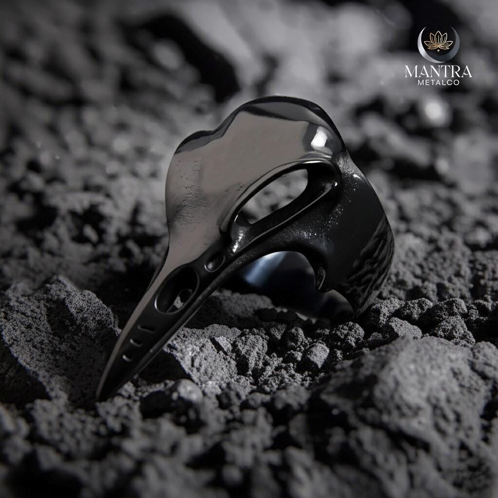 Viking Black Crow Skull Ring, Gothic Stainless Steel Ring for Him ...