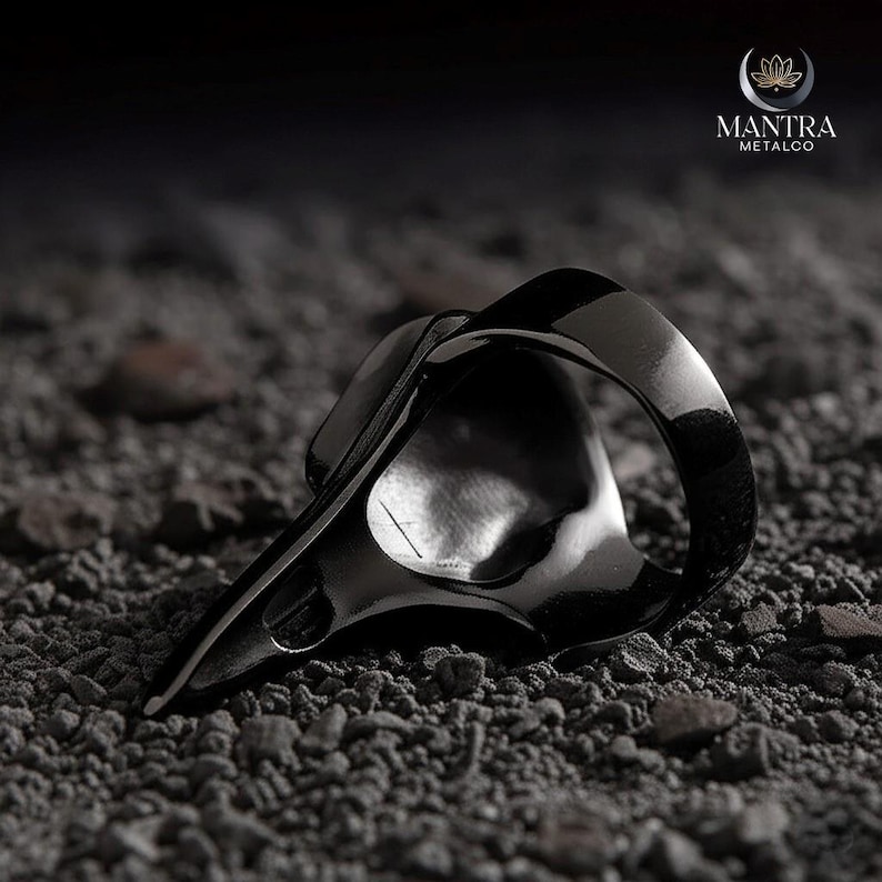 Viking Black Crow Skull Ring, Gothic Stainless Steel Ring for Him ...