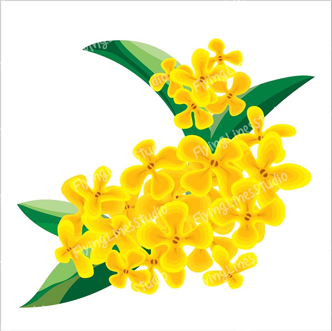 Osmanthus Flower Clipart Set: Floral PNG, JPG Graphics (commercial Use ...