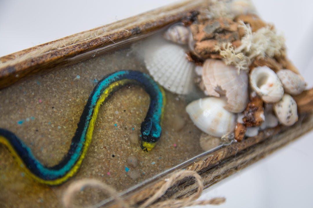 Hyper-realistic Water Snake in Resin 30x12 Cm – Acrylic, Sand, Shells ...