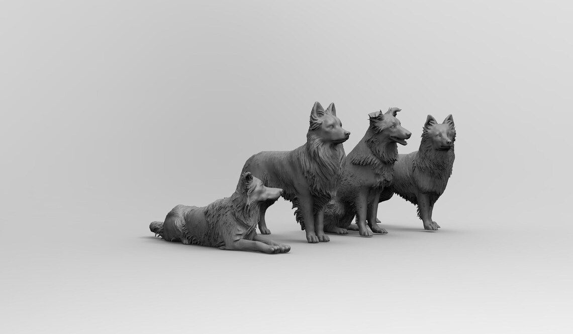 Border Collie STL – Detailed 3D Print Model Dogs (digital Download) - Etsy