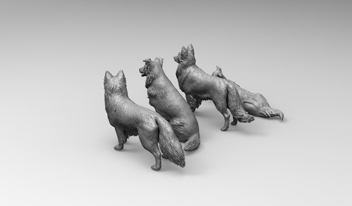 Border Collie STL – Detailed 3D Print Model Dogs (digital Download) - Etsy