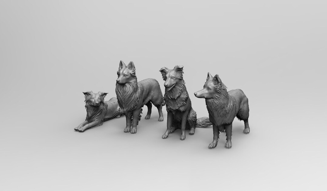 Border Collie STL – Detailed 3D Print Model Dogs (digital Download) - Etsy