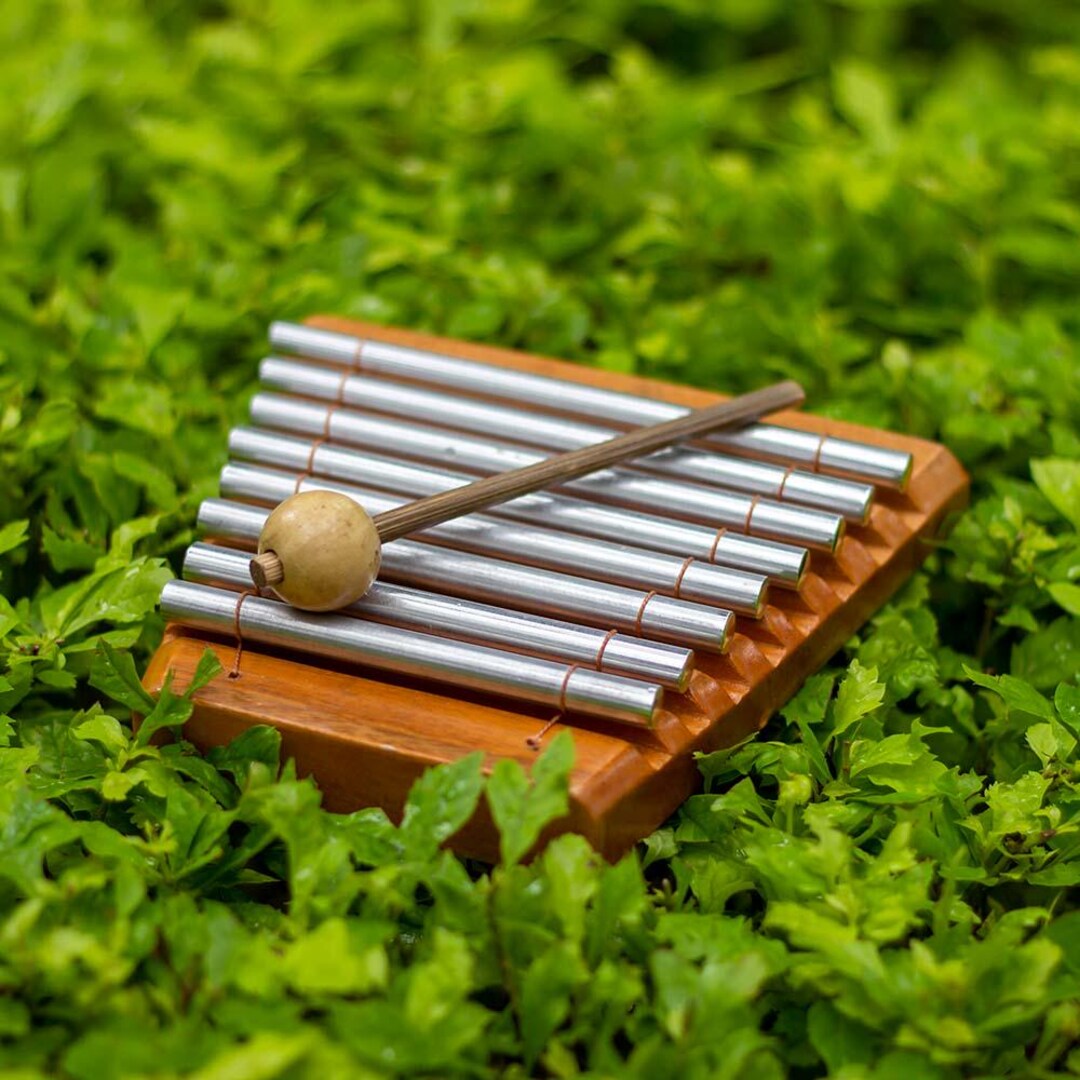 Teak Wood Stainless Steel Xylophone, Percussion Instrument - Etsy
