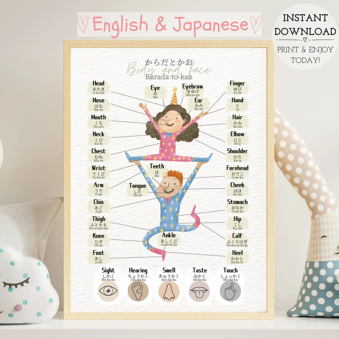 English Japanese Body Parts Poster – Educational Nursery Art (digital ...