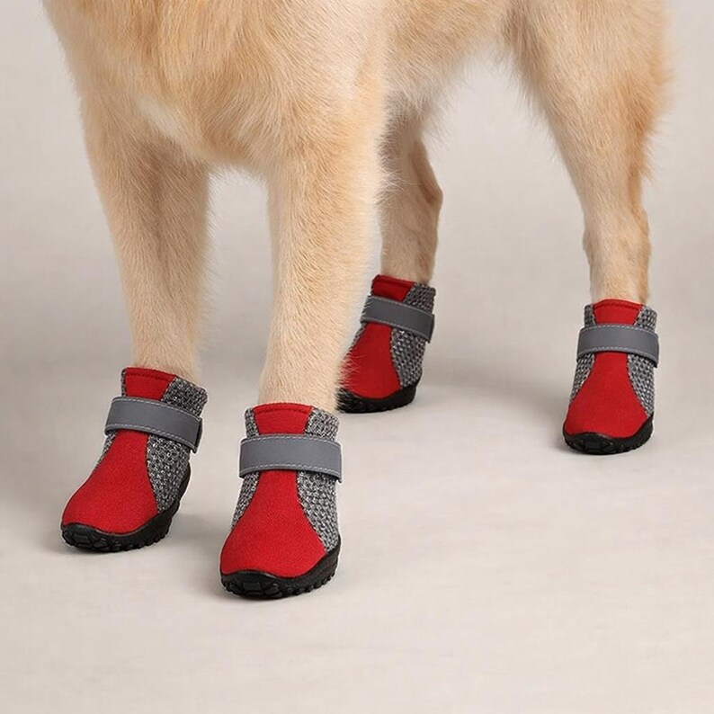 Breathable Dog Shoes With Adjustable Straps, Lightweight Mesh Dog Boots ...