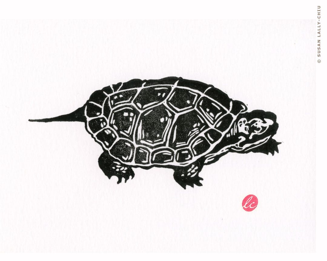 Turtle Linocut Print Western Pond Turtle Original Nature Art Hand ...