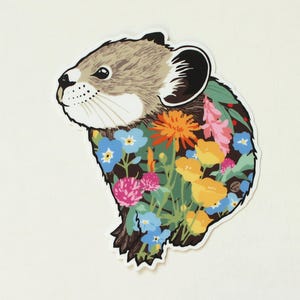 American Pika Sticker; Waterproof Water Bottle Decal; Nature Sticker - Etsy