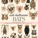 Whimsical Halloween Bat Clipart Bundle: Watercolor Floral Bow PNG ...