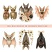 Whimsical Halloween Bat Clipart Bundle: Watercolor Floral Bow PNG ...