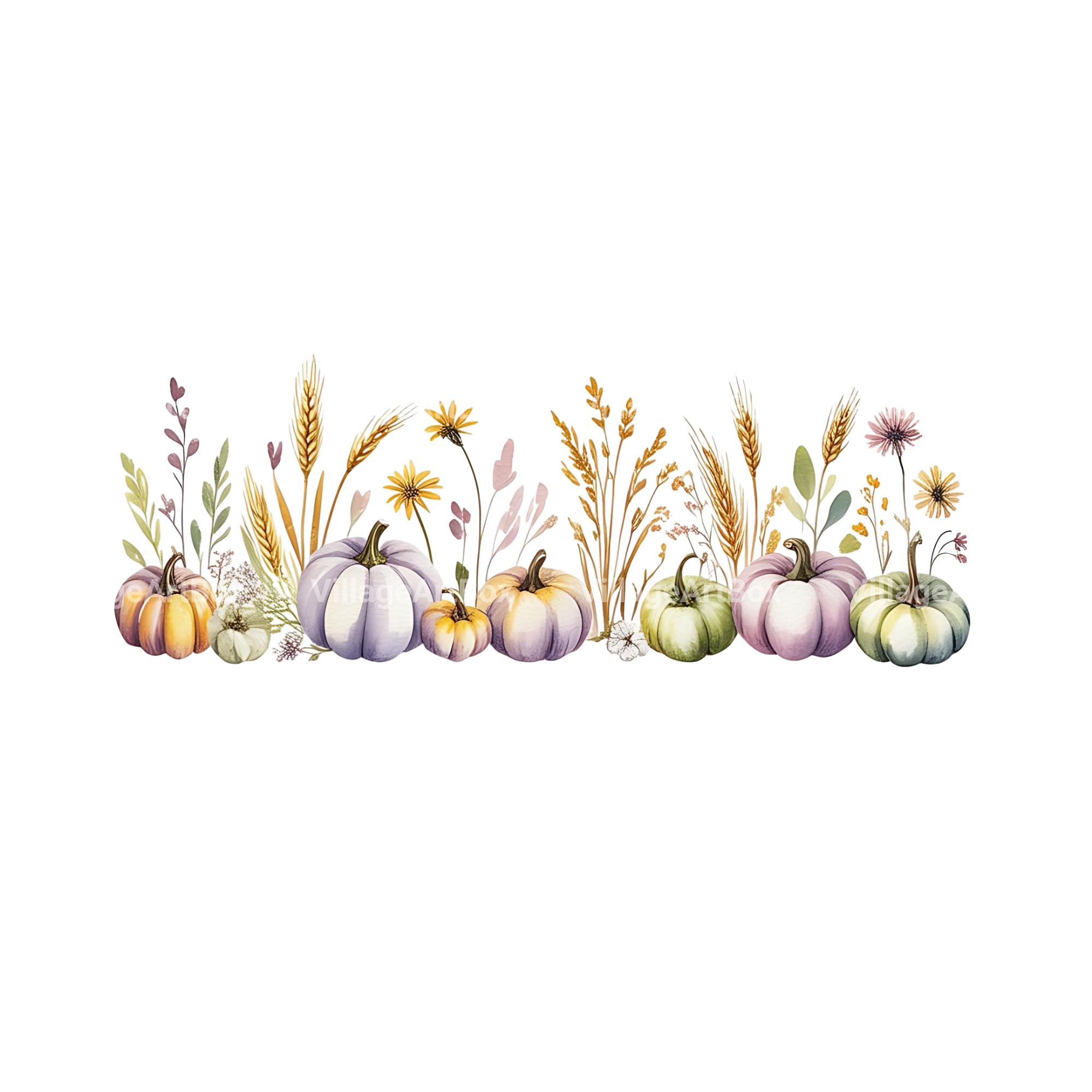 Watercolor Pumpkin Border Clipart: Fall Floral Dividers (digital ...