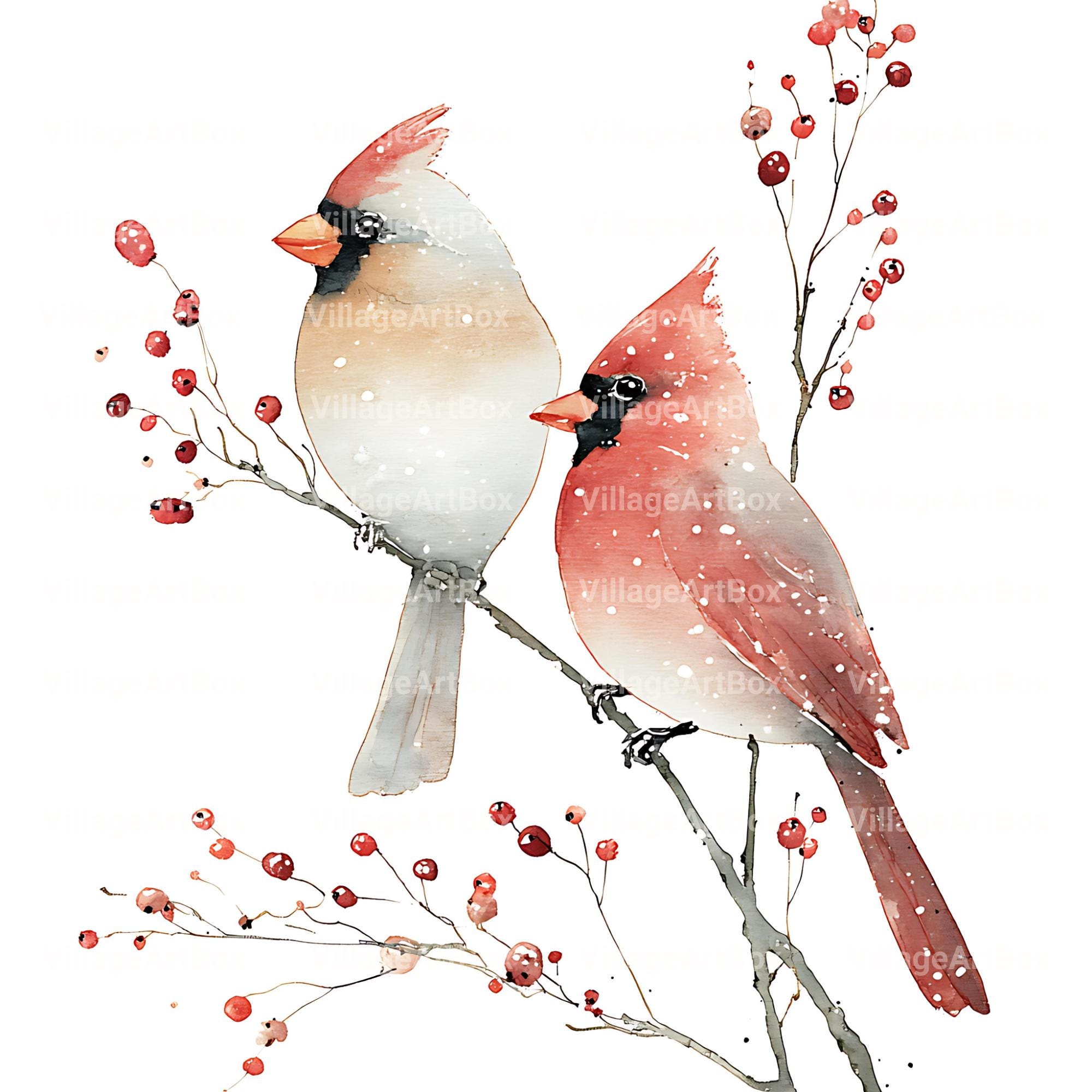 Watercolor Christmas Birds Clipart: Cardinal & Robin (digital Download ...
