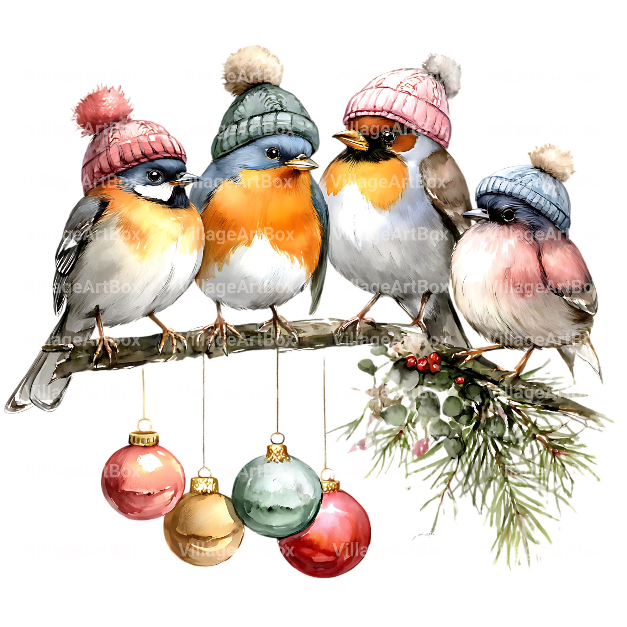 Watercolor Christmas Birds Clipart: Robins in Knit Hats (PNG Instant ...