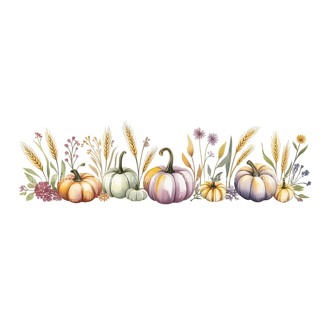 Watercolor Pumpkin Border Clipart: Fall Floral Dividers (digital ...