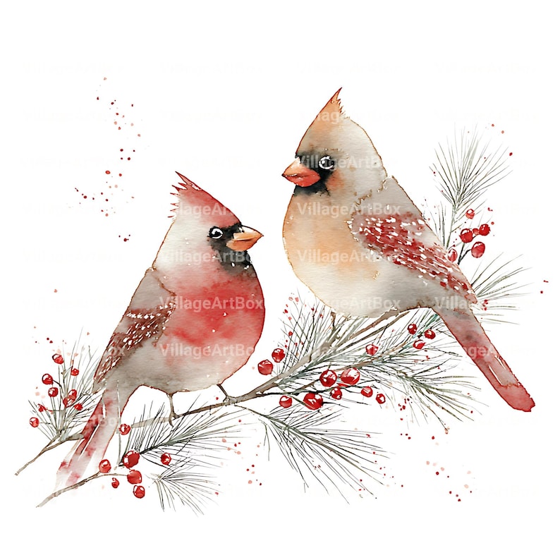 Watercolor Christmas Birds Clipart: Cardinal & Robin (digital Download ...