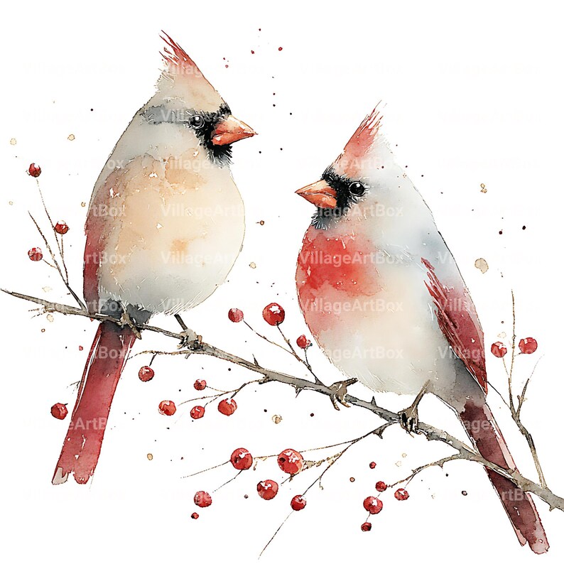 Watercolor Christmas Birds Clipart: Cardinal & Robin (digital Download ...