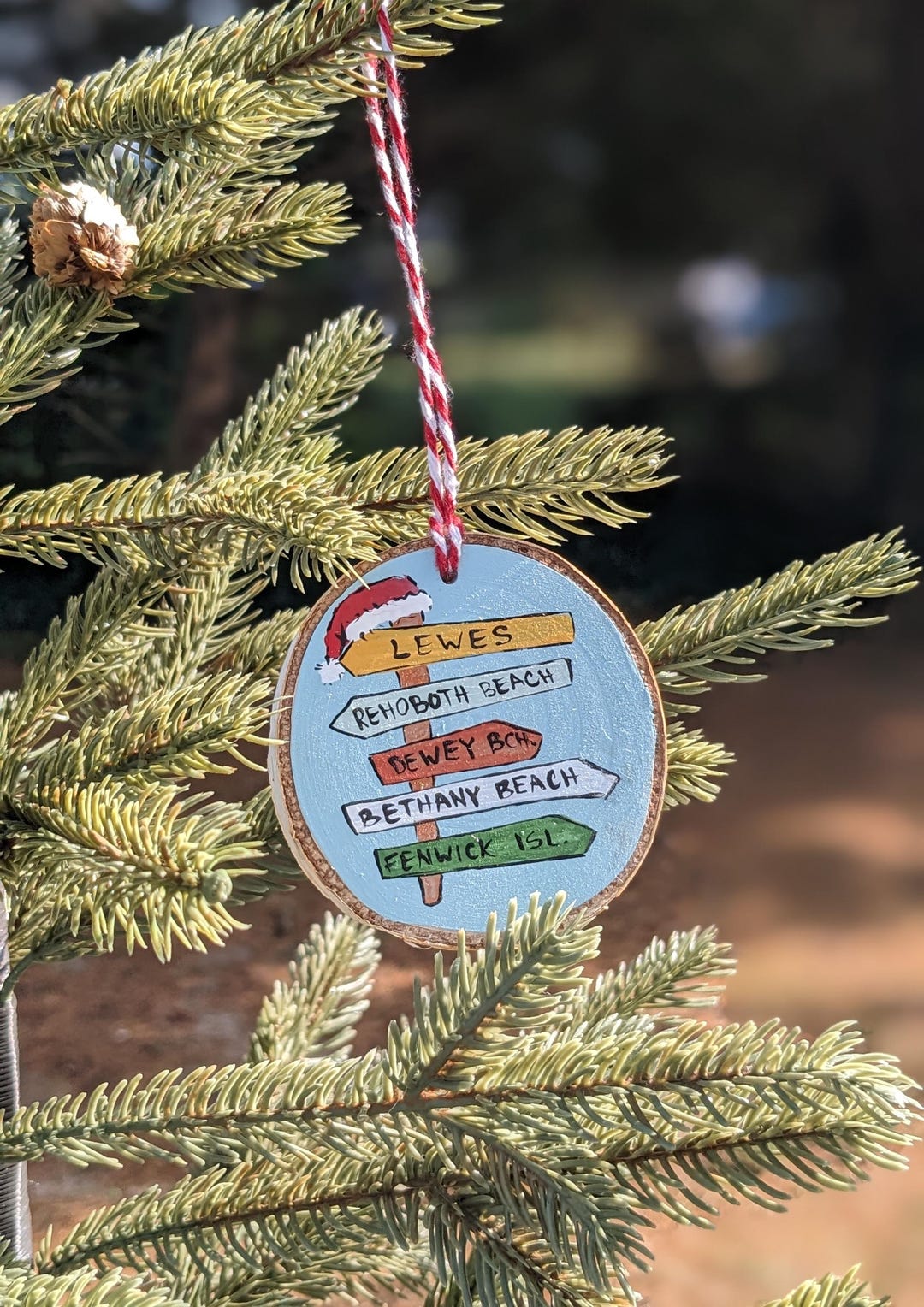 Hand Painted Delaware Beaches Ornament: Birch Wood Slice Holiday Decor ...