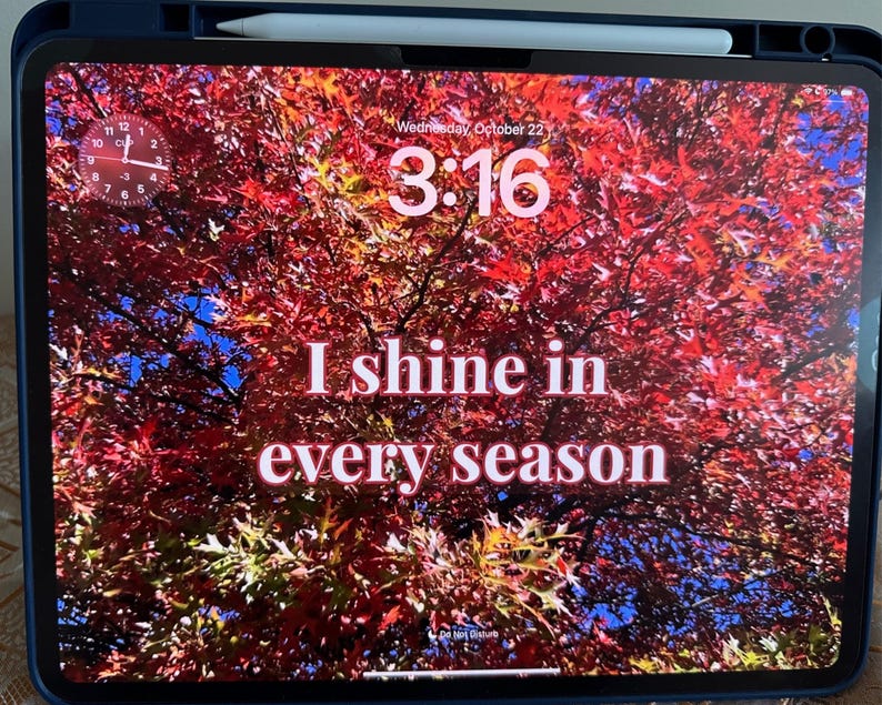 Autumn Tree Phone Wallpaper – Fall Lock Screen (digital Download) - Etsy