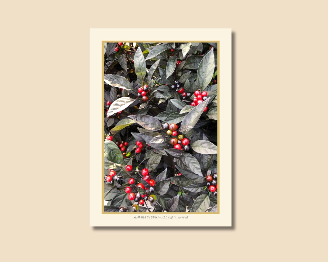 Holiday Berry Branch | Winter Printable Wall Art | Red Berries ...
