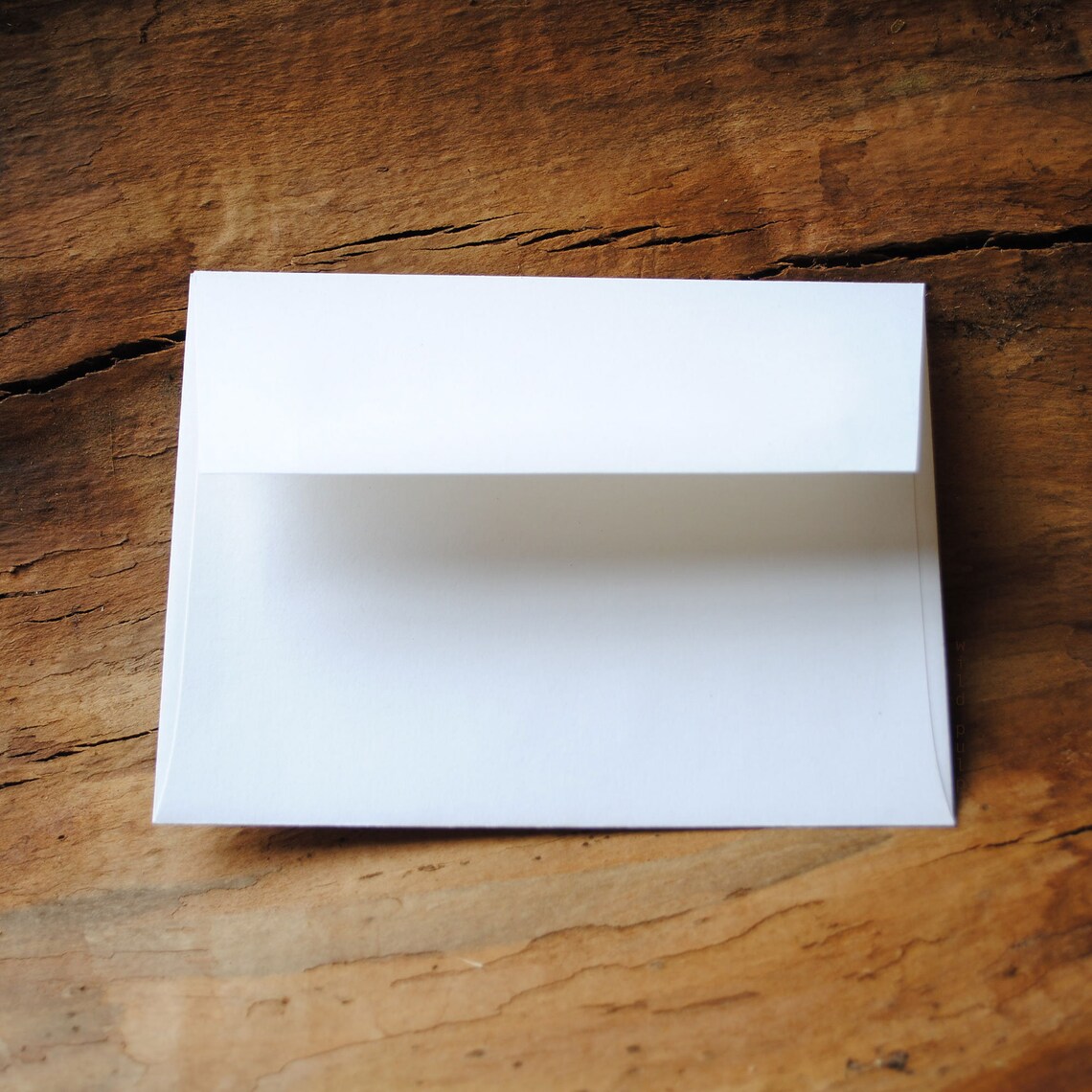 Spinosaurus Dinosaur Card Kids Prehistoric Dinosaur Cards - Etsy