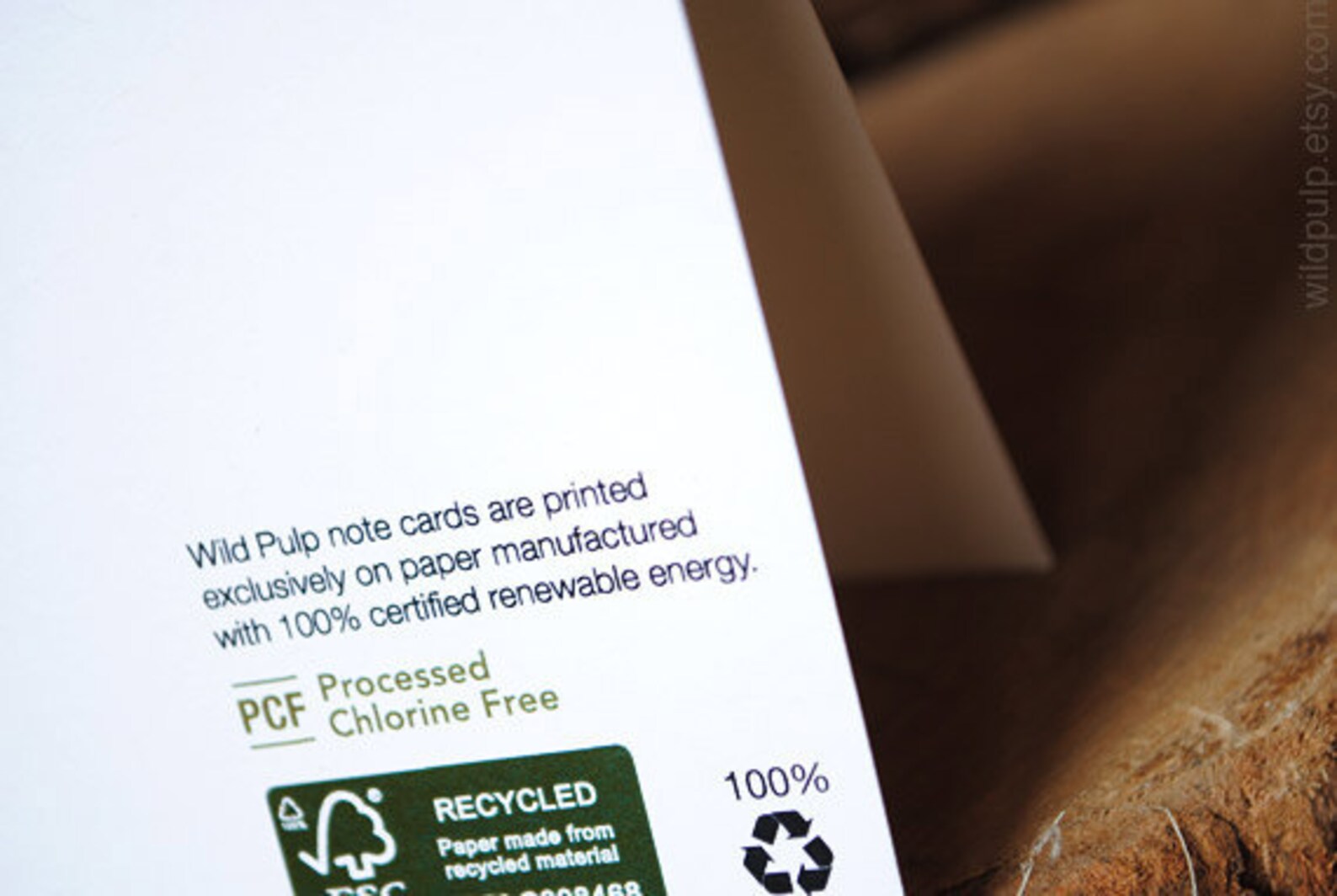 Spinosaurus Dinosaur Card Kids Prehistoric Dinosaur Cards - Etsy