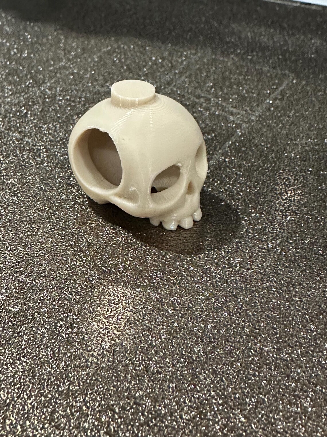 Jumping Spider Skull Hide - Etsy