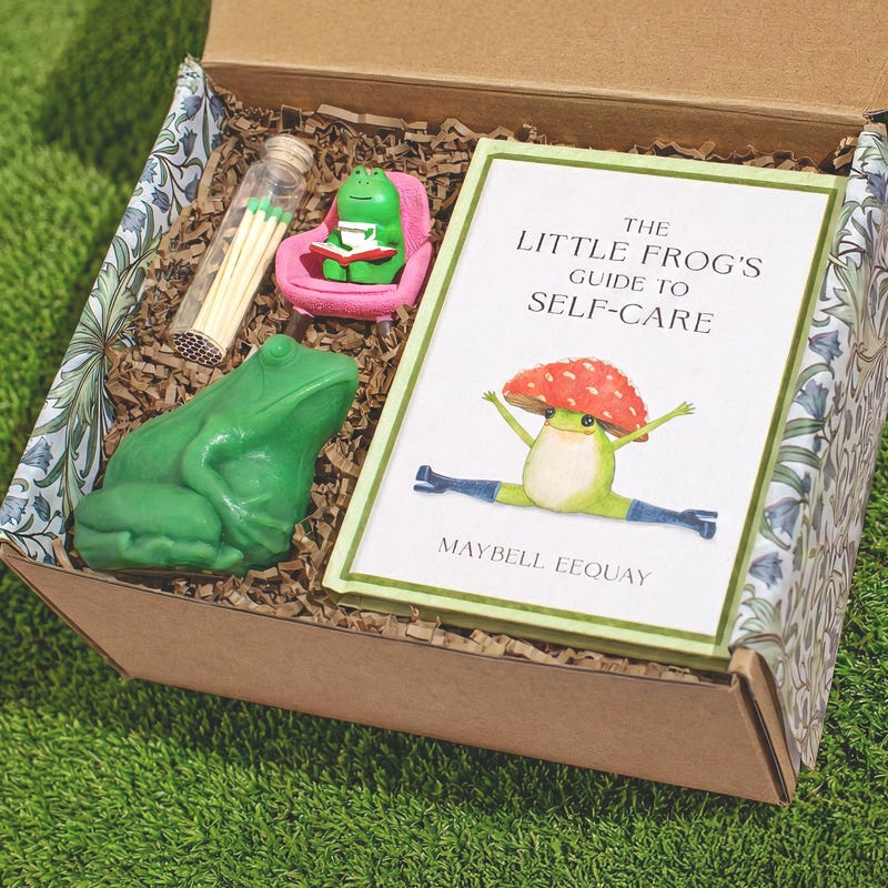 Frog Lover Gift Box - 60+ Gift Ideas for 2026