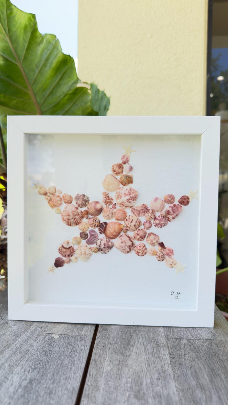 Dancing Starfish Shadow Box Shell Art Pink - Etsy