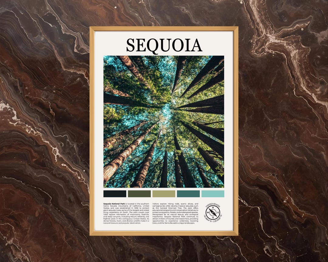 Sequoia National Park Poster: Sequoia National Park Print, Sequoia ...