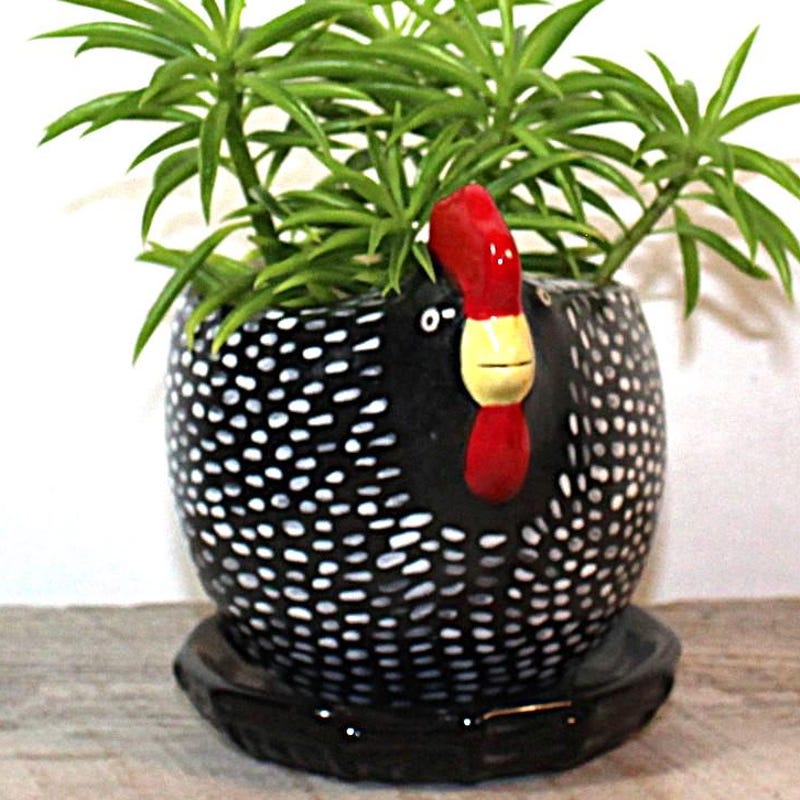 Hen Planter - Etsy