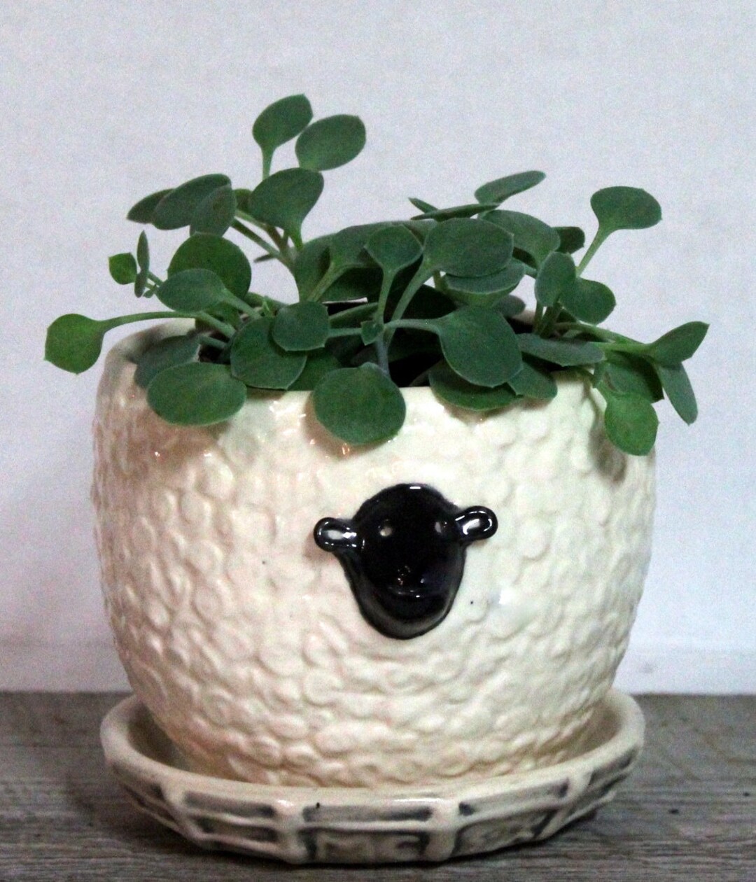 Small Sheep Planter 3 1/2'' X 3'' Drainage Hole and Saucer Sheep Lover ...