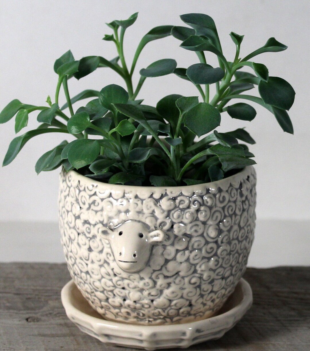 Small Sheep Planter 3 1/2'' X 3'' Drainage Hole and Saucer Ceramic ...