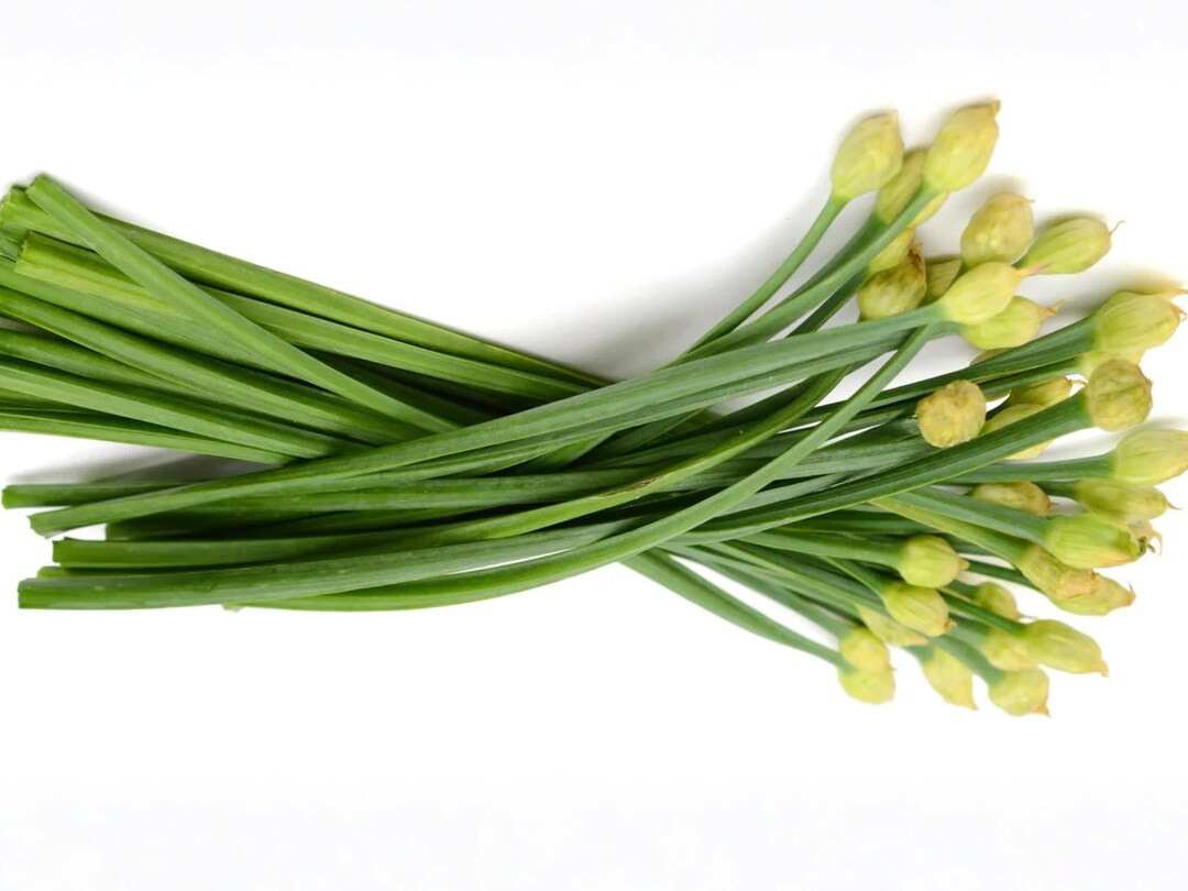 Chinese Flowering Leek – 100 Seeds | Garlic Chive Flower Stalks | Asian ...