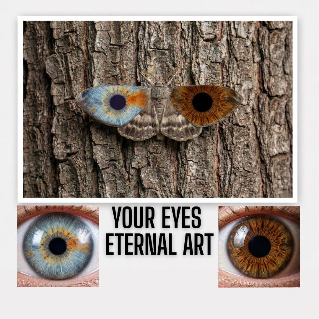 Couple Eye Art Print – Surreal Moth Iris Portrait, Personalized Wall ...