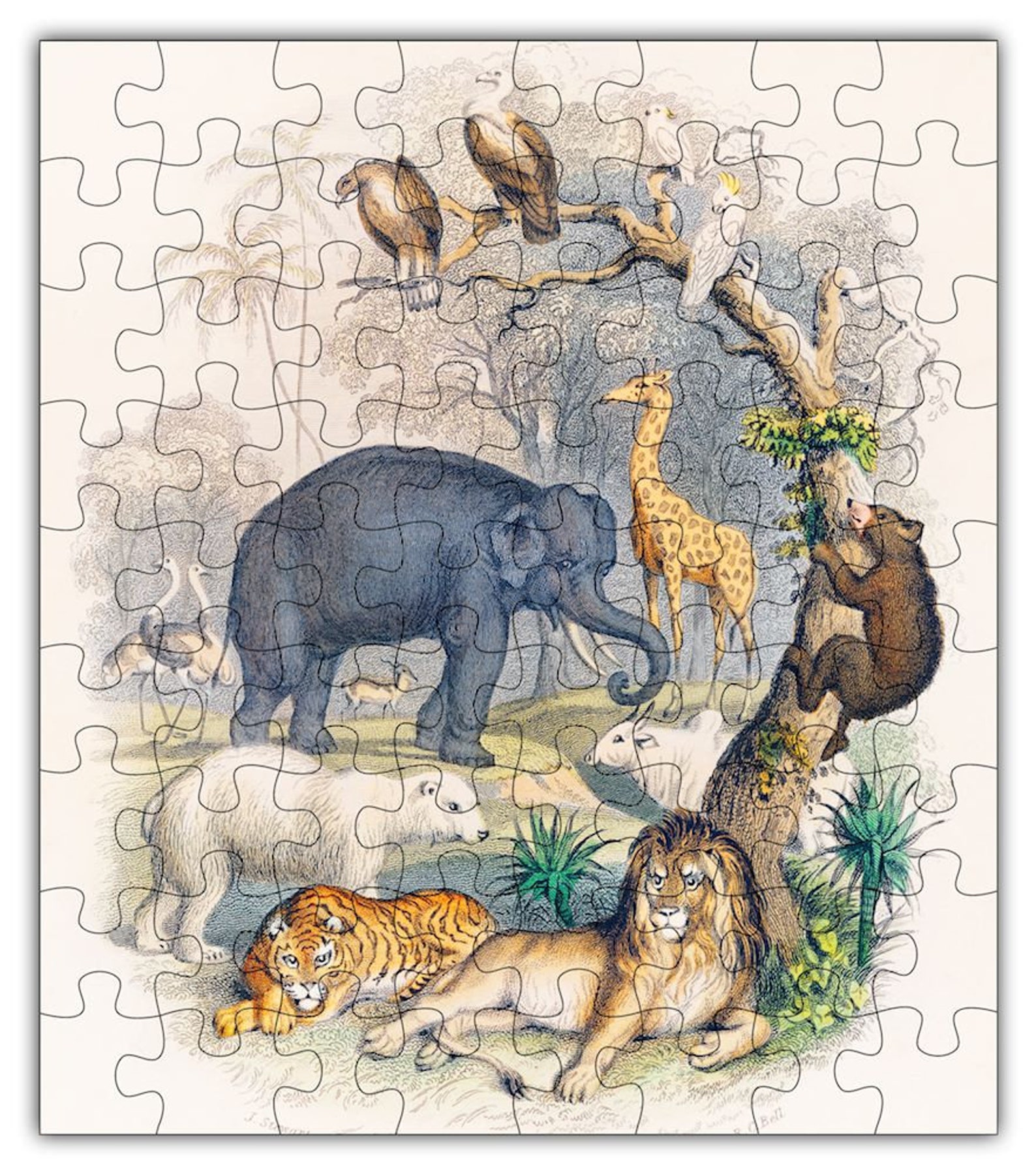 Zoo Animal Puzzle 6802 72pcs - Etsy