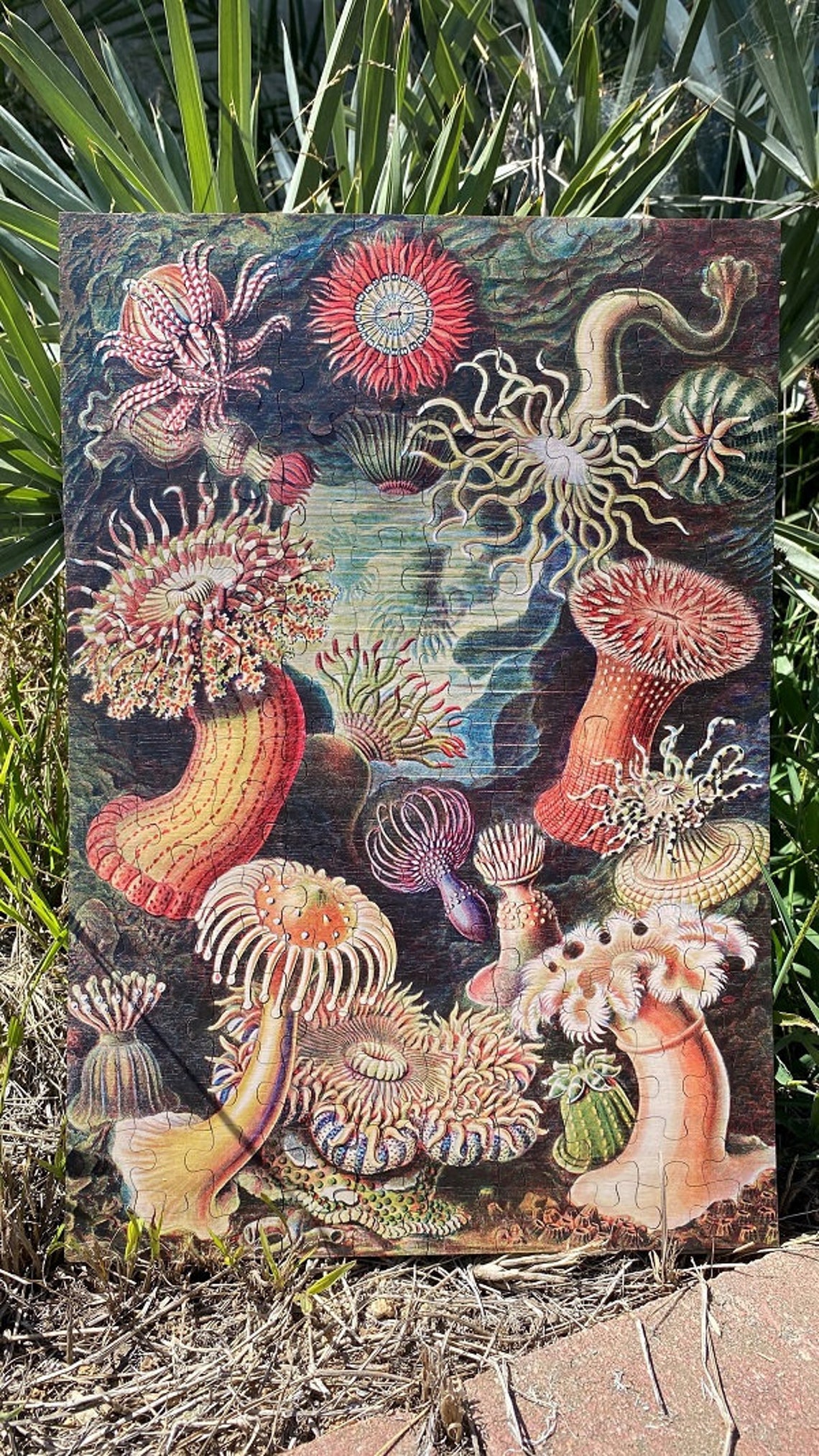 Haeckels Ocean Plants Puzzle #6729 - Wooden Jigsaw Puzzle - 144pcs ...