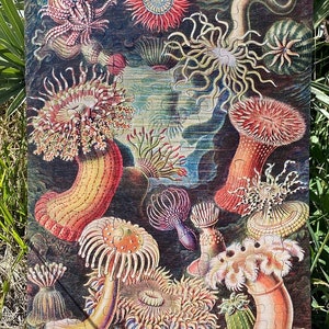 Haeckels Ocean Plants Puzzle #6729 - Wooden Jigsaw Puzzle - 144pcs ...