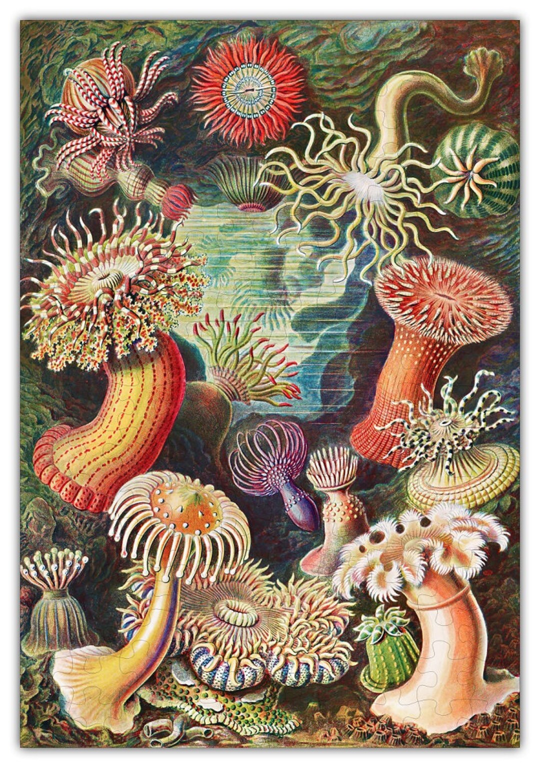 Haeckels Ocean Plants Puzzle #6729 - Wooden Jigsaw Puzzle - 144pcs ...