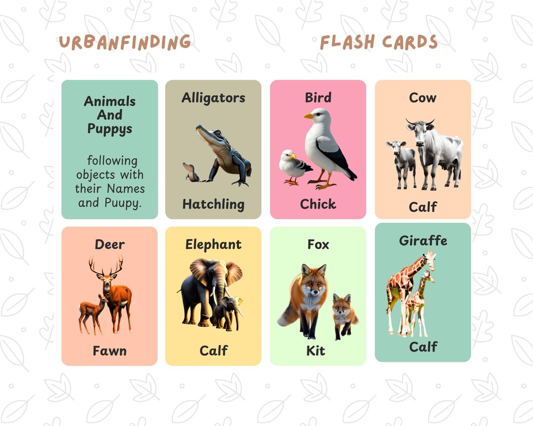 Colorful Animal & Pet Flashcards for Kids – Learn Animals With Fun ...