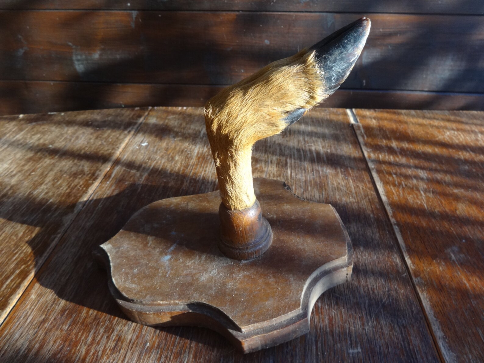 Vintage French Deer Hoof Rack Coat Hook Hanger Taxidermy Circa 1930-40 ...