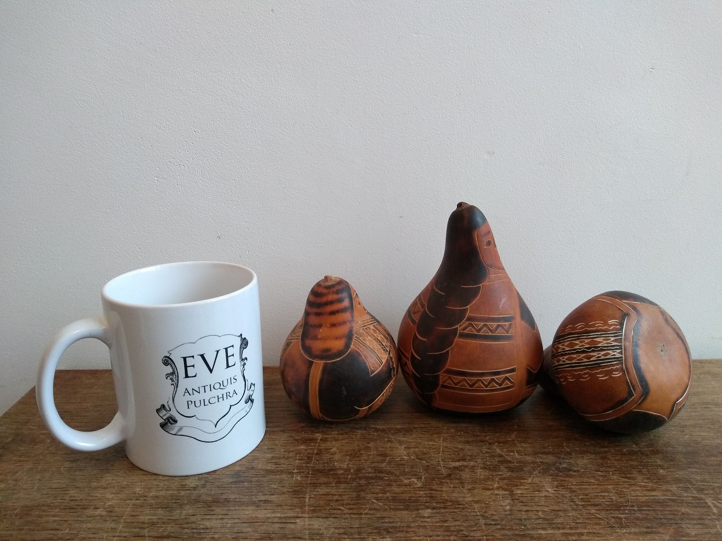 Vintage Equador Dried Gourd Fruit Vegetable Percussion Musical | Etsy