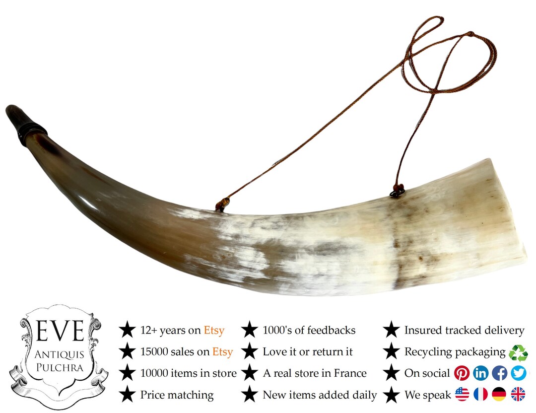 Vintage French Horn String Hanging Loud Instrument Warning - Etsy